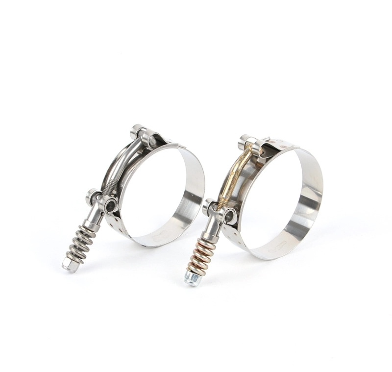 Spring Loaded T-Bolt Clamps - TopFasterner.com